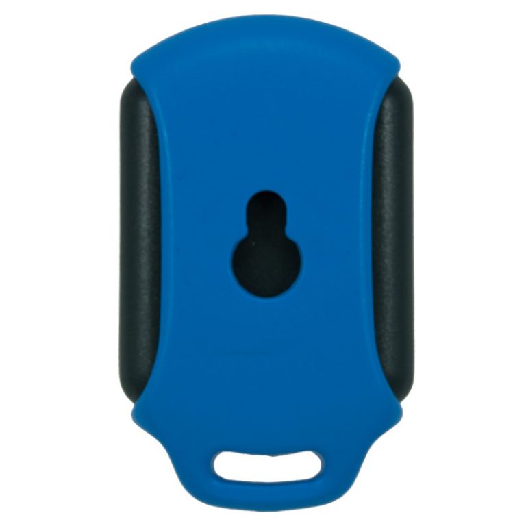 Blue Centurion Nova 2 button remote transmitter - Mr Remote